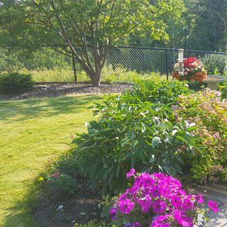 Tree and Shrub Planting Calgary | Calgary Landscaping